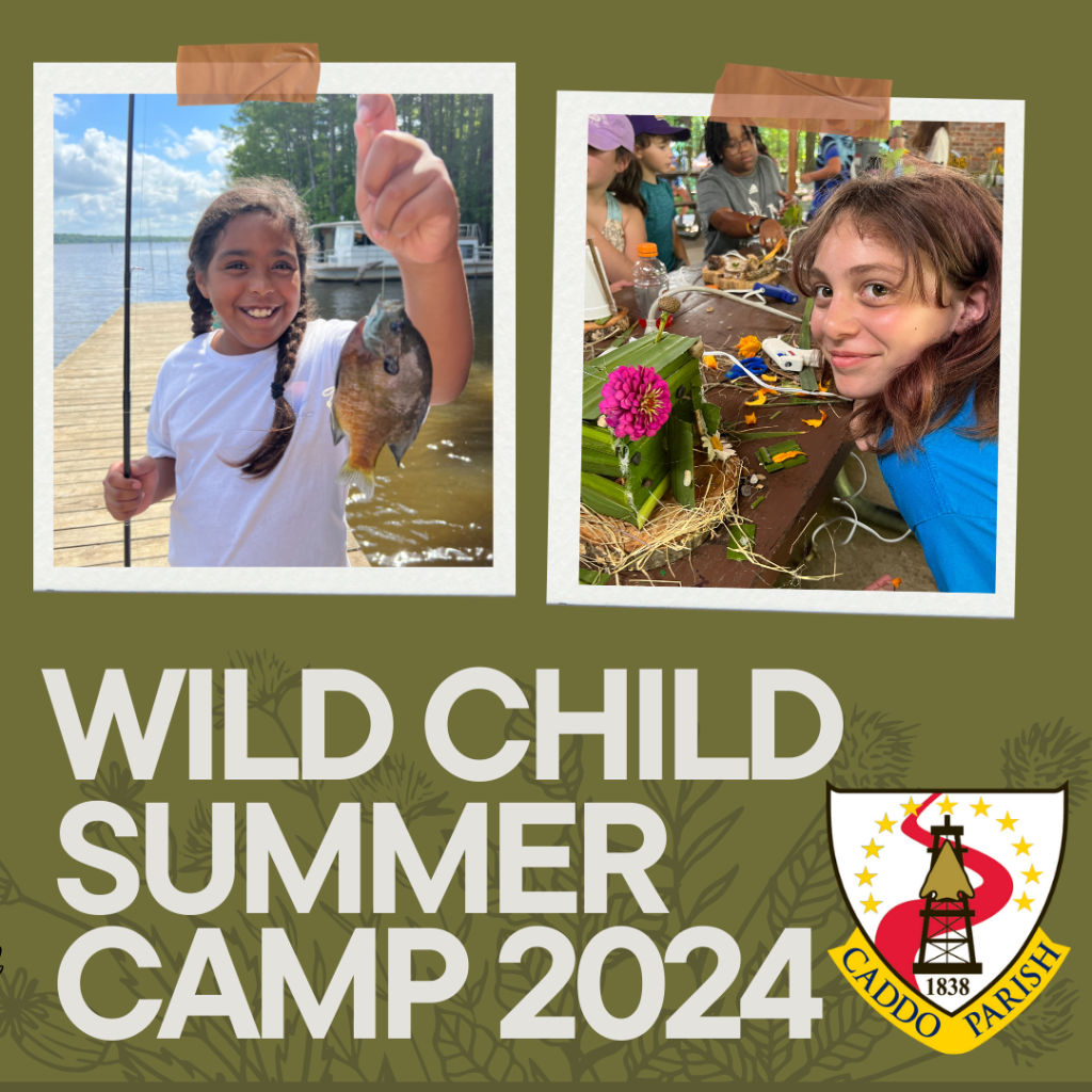 Register for Wild Child Summer Camp | Caddo Parish